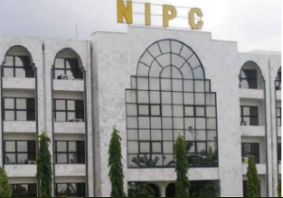 NIPC To Unveil Single Window Investors Portal In Q1, 2021 ...