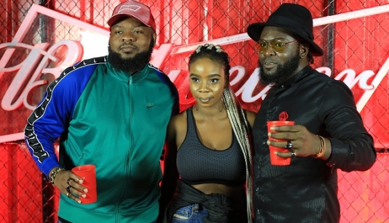 Budweiser’s Viewing Parties-a fun and Exciting Experience ...