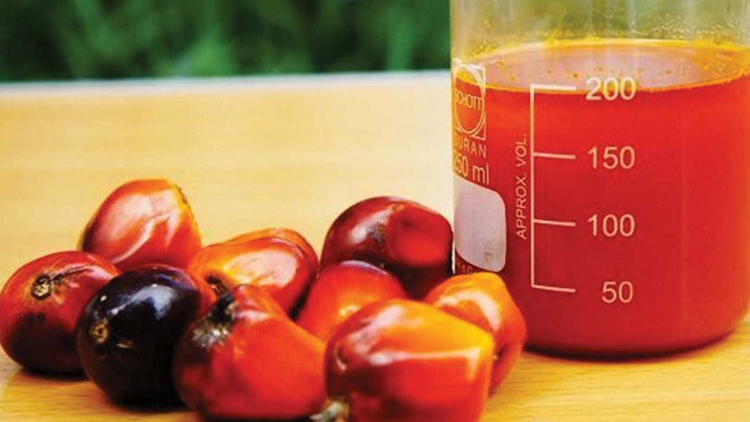 Nigeria partners with investors to save $500m on palm oil imports