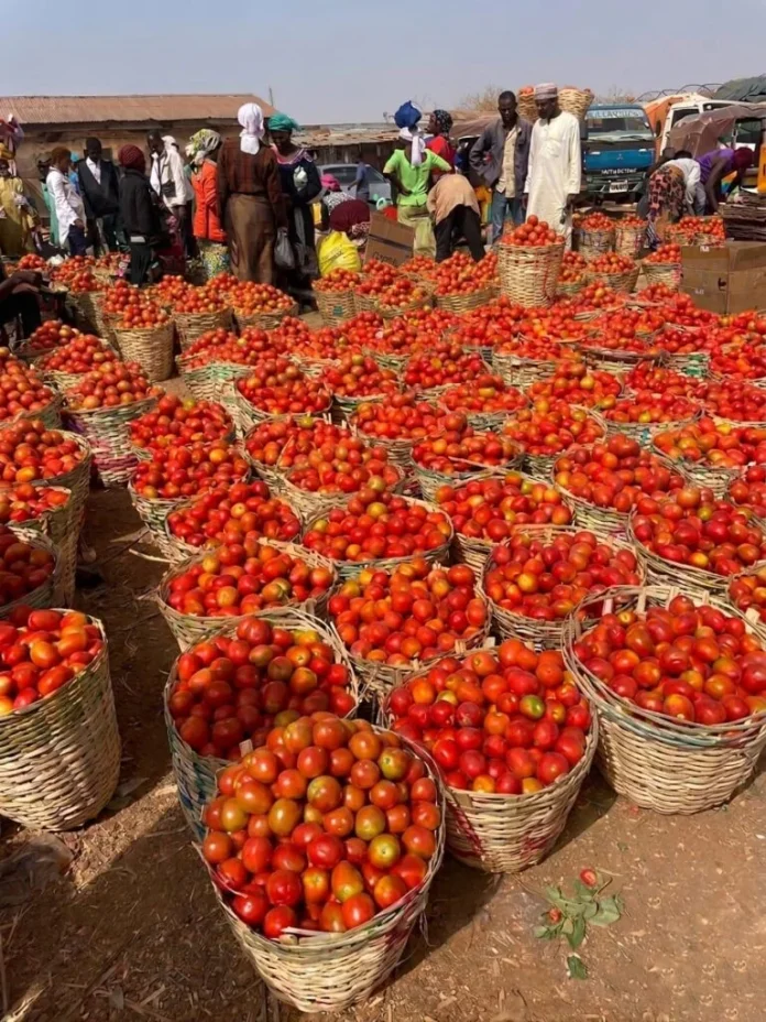 Traders and residents voice concern over rising prices of tomatoes and ...